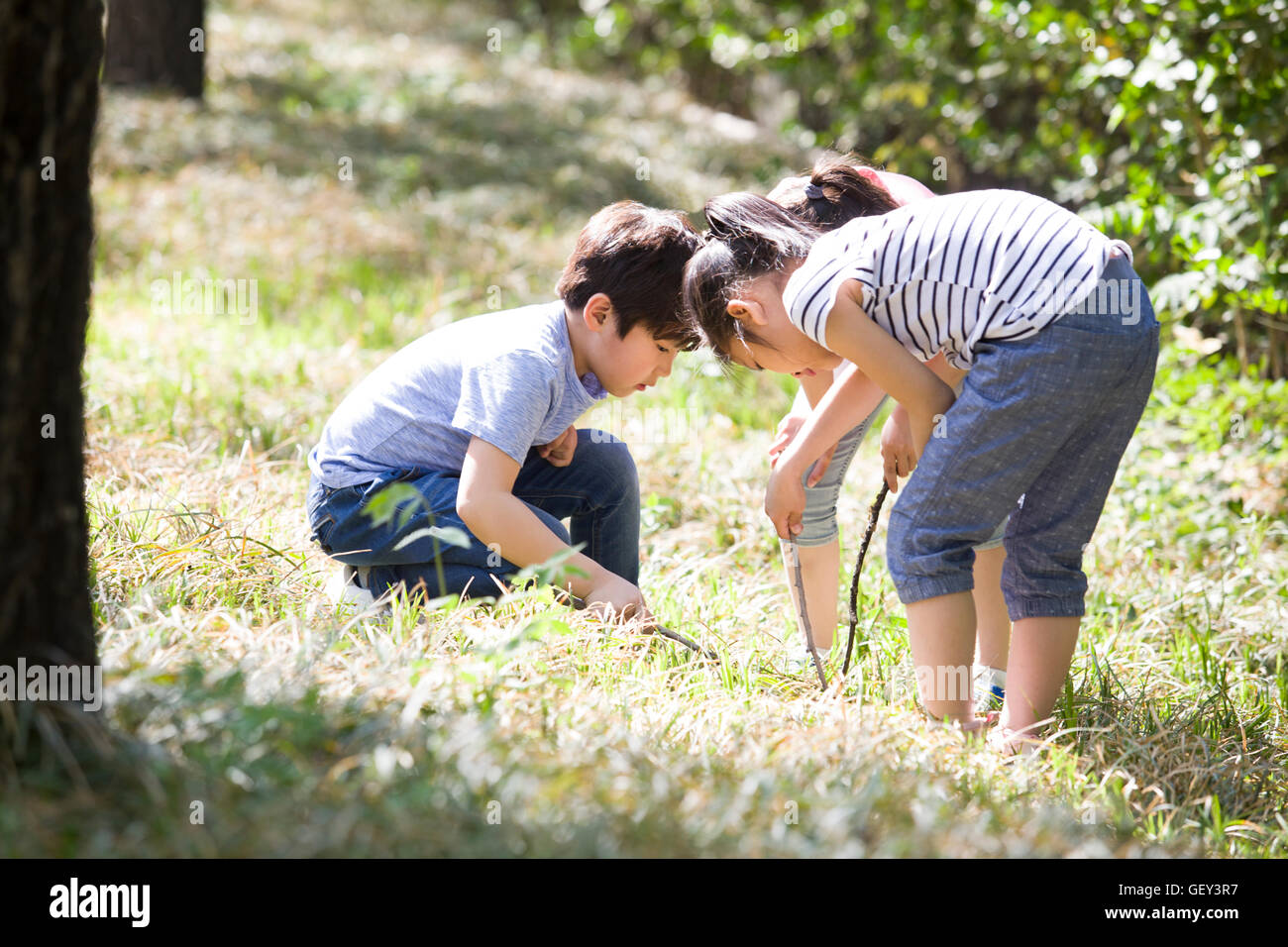 Happy Chinese children playing in woods Stock Photo - Alamy