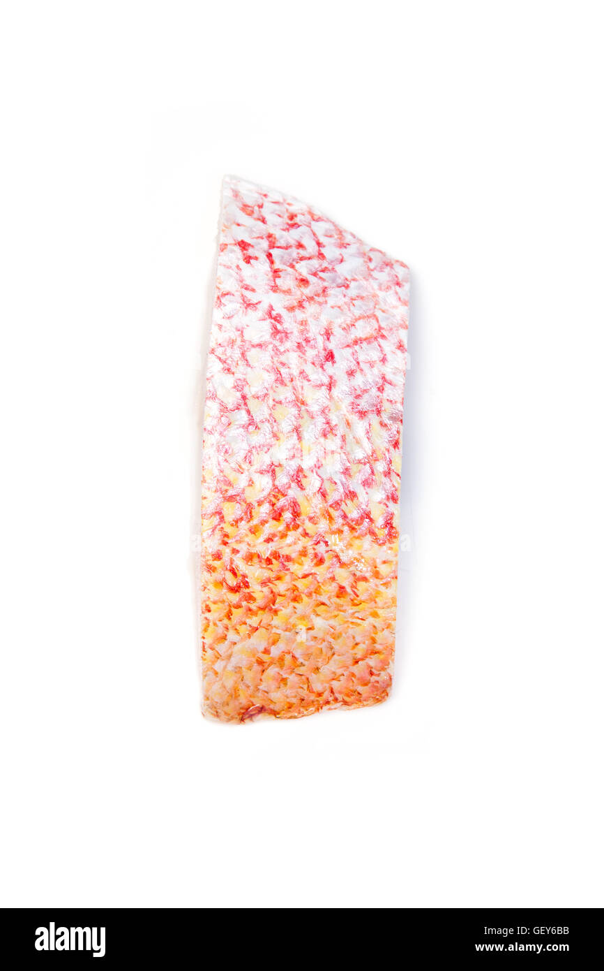 Raw Red Snapper fish fillet isolated on a white studio background Stock ...