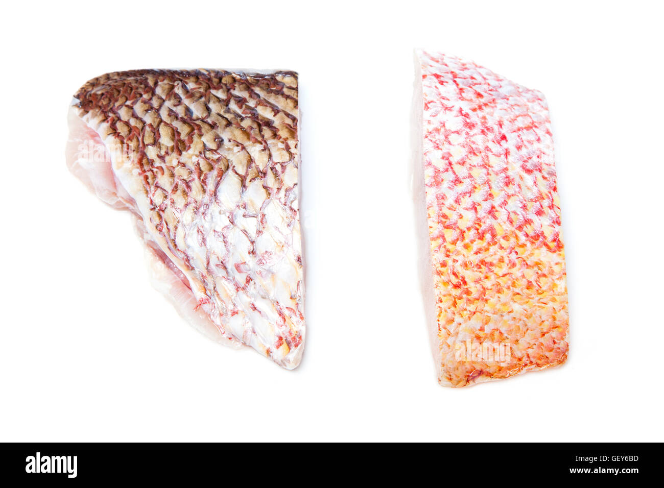 Raw Red Snapper fish fillets isolated on a white studio background ...