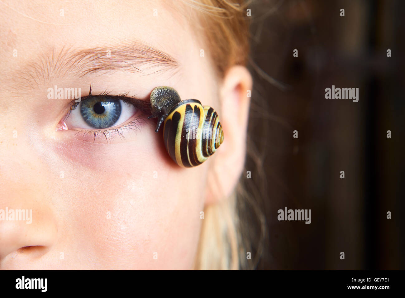 Portrait of cute blond child girl with snail on her face Stock Photo ...