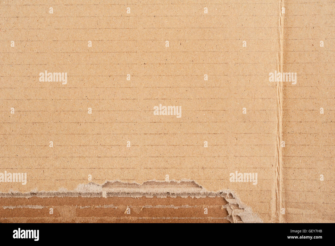 Torn paper edge rectangle hi-res stock photography and images - Alamy