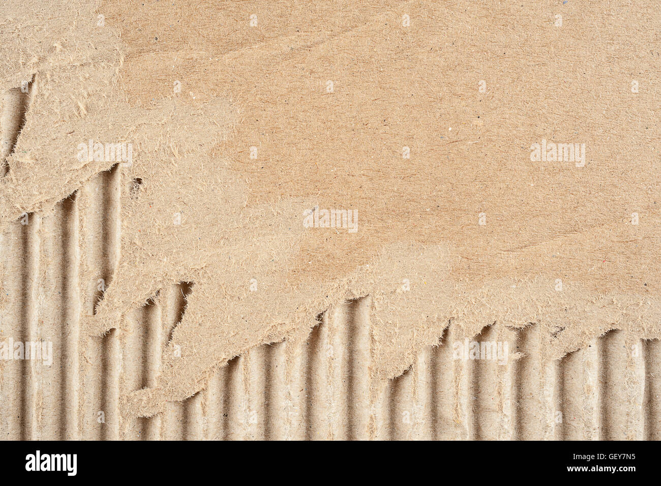 Cardboard tear hi-res stock photography and images - Alamy