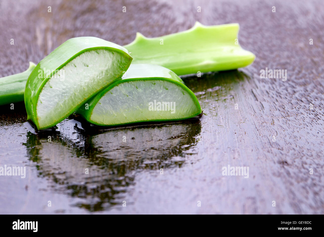 Slice Aloe Vera (Aloe barbadensis Mill.,Star cactus, Aloe, Aloin ...
