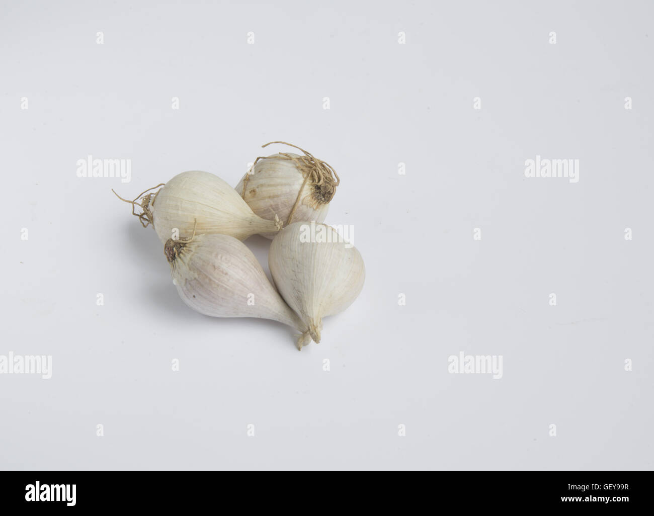 "Alone" garlic - Special garlic Of vietnam Stock Photo - Alamy