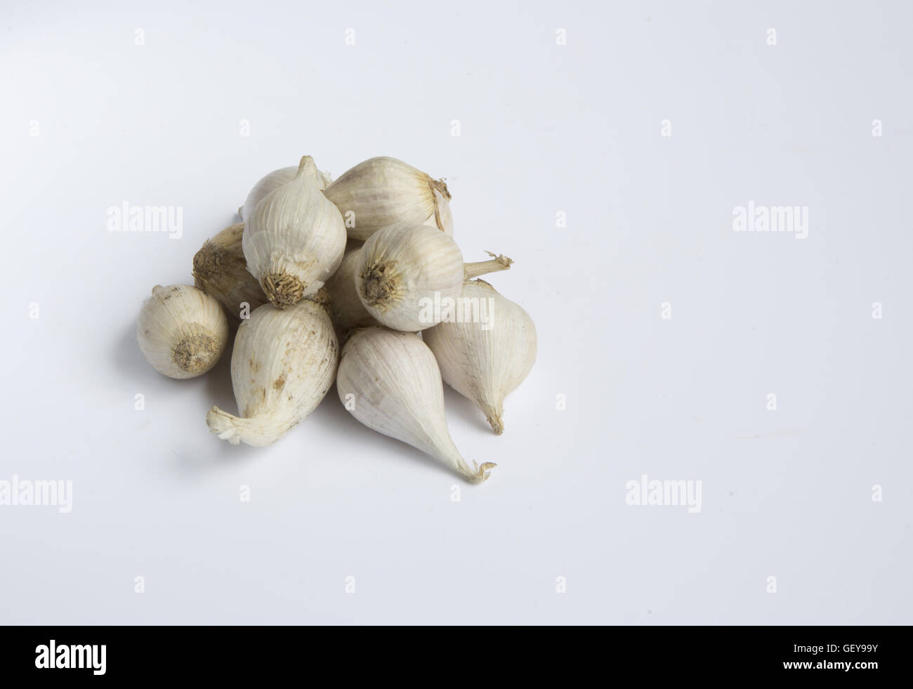 "Alone" garlic - Special garlic Of vietnam Stock Photo - Alamy