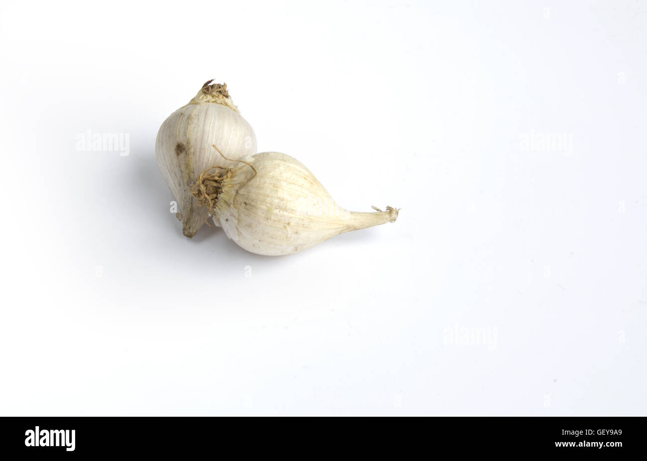 "Alone" garlic - Special garlic Of vietnam Stock Photo - Alamy