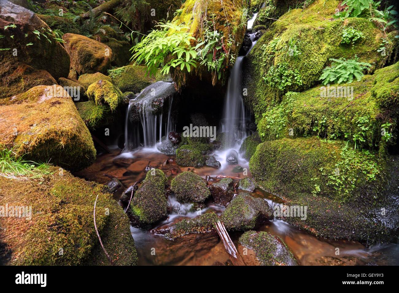 Brook watson hi-res stock photography and images - Alamy