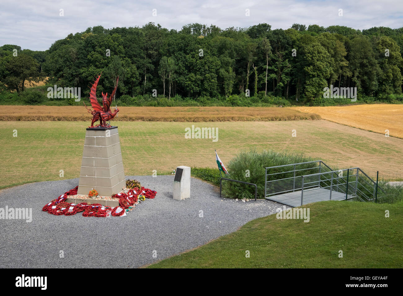 Mametz wood hi-res stock photography and images - Alamy