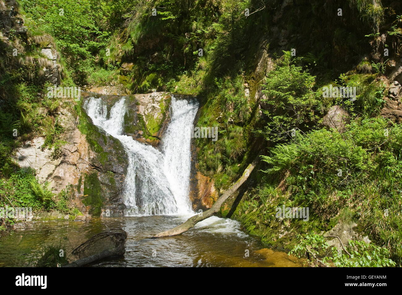 Hallowmas hi-res stock photography and images - Alamy