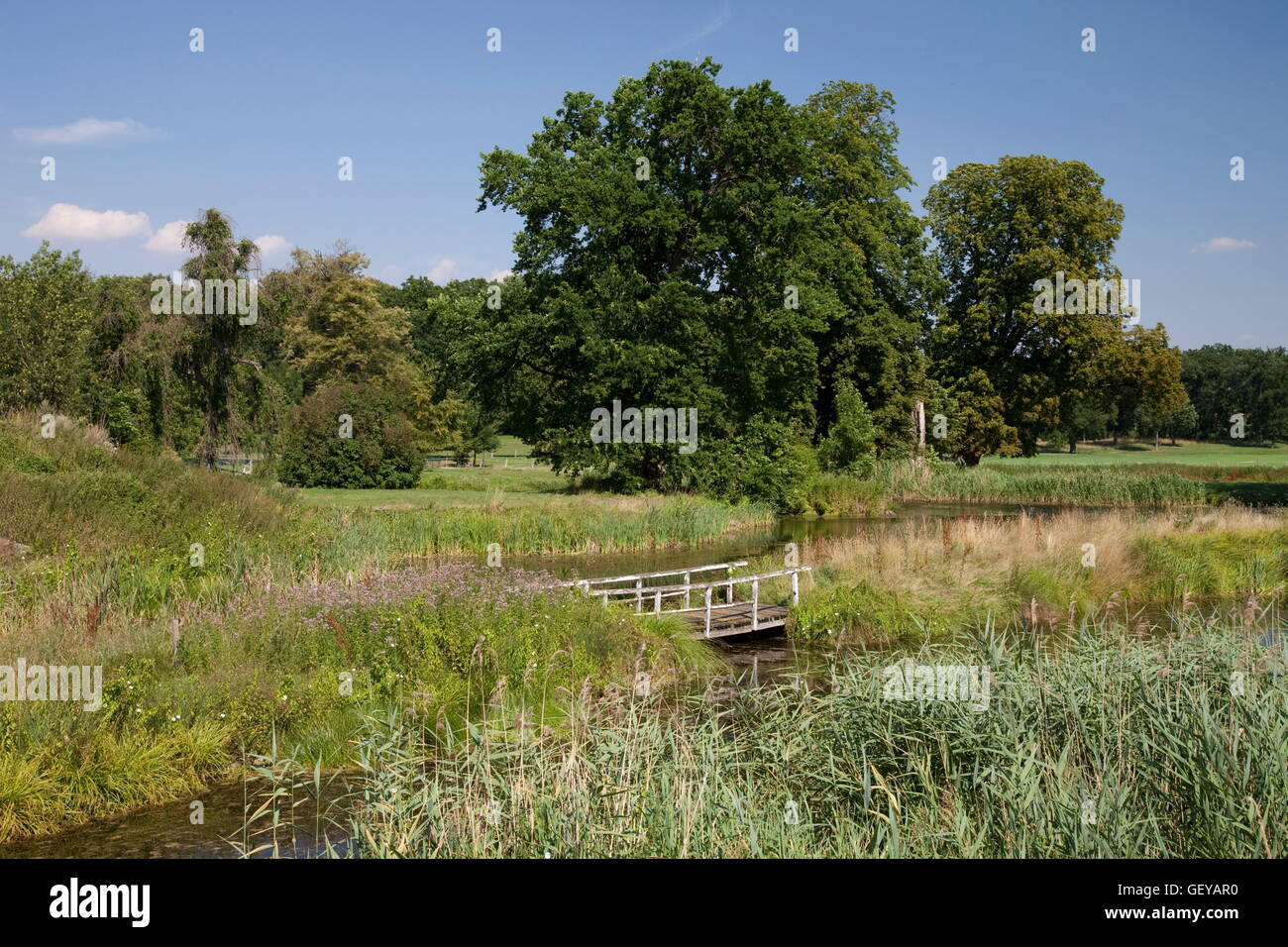Park of the castle basedow hi-res stock photography and images - Alamy