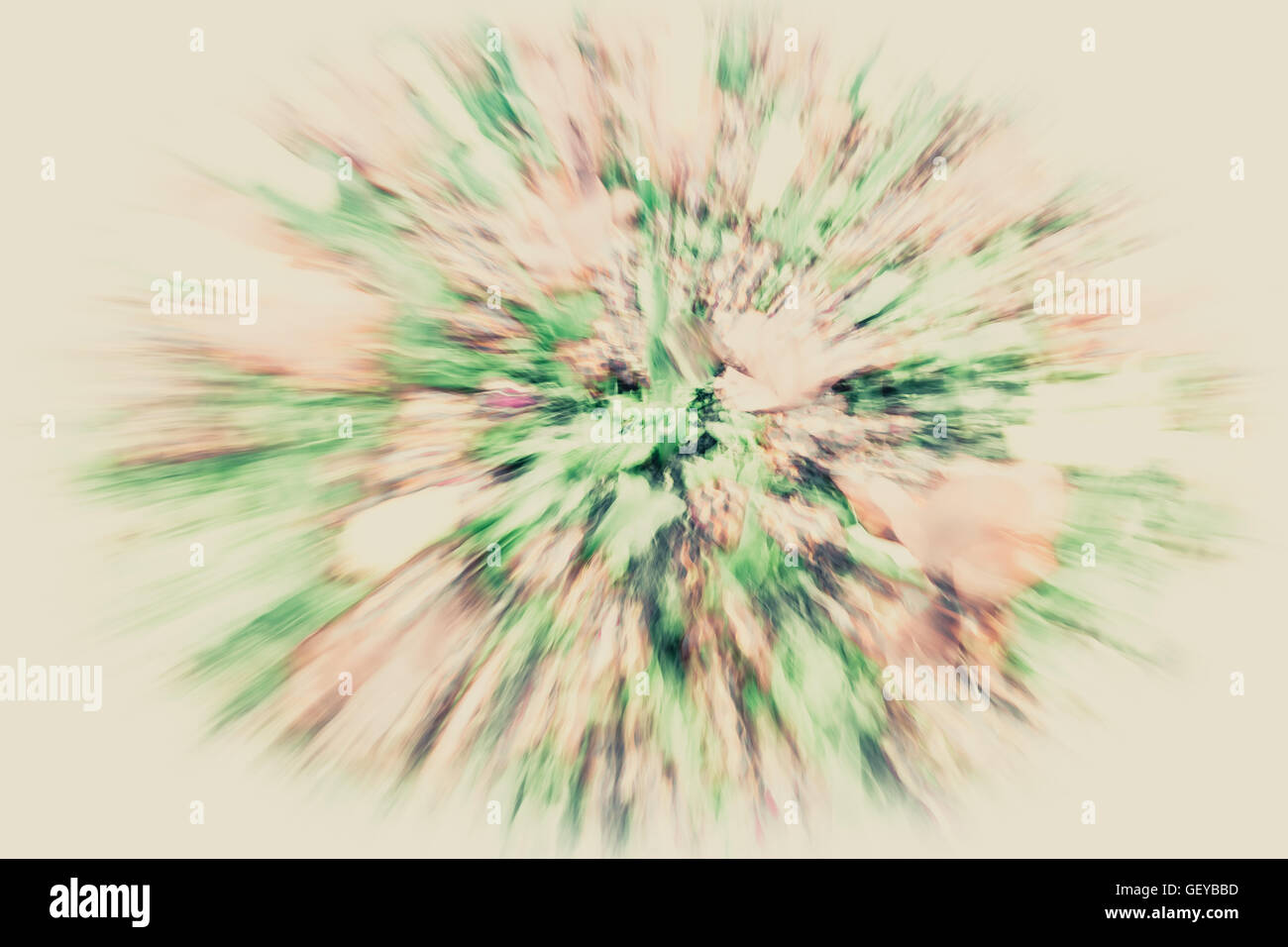 Zooming effect of colorful flowers in spring Stock Photo - Alamy