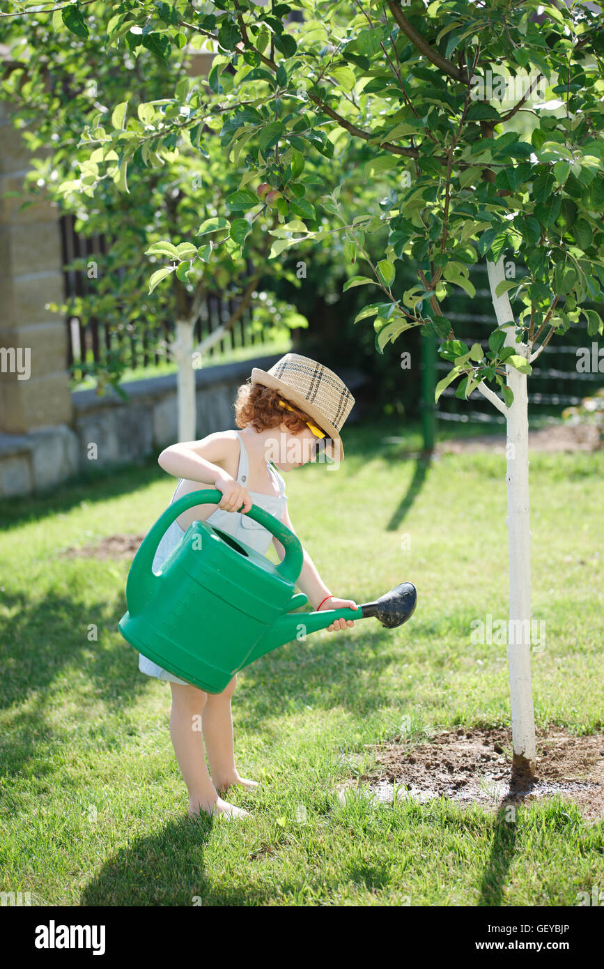 little boy watering trees in summer garden Stock Photo - Alamy