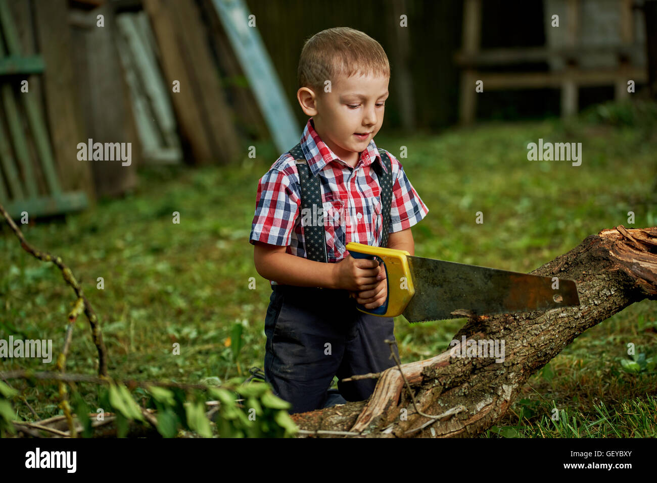 boy sawing fallen tree in garden Stock Photo - Alamy
