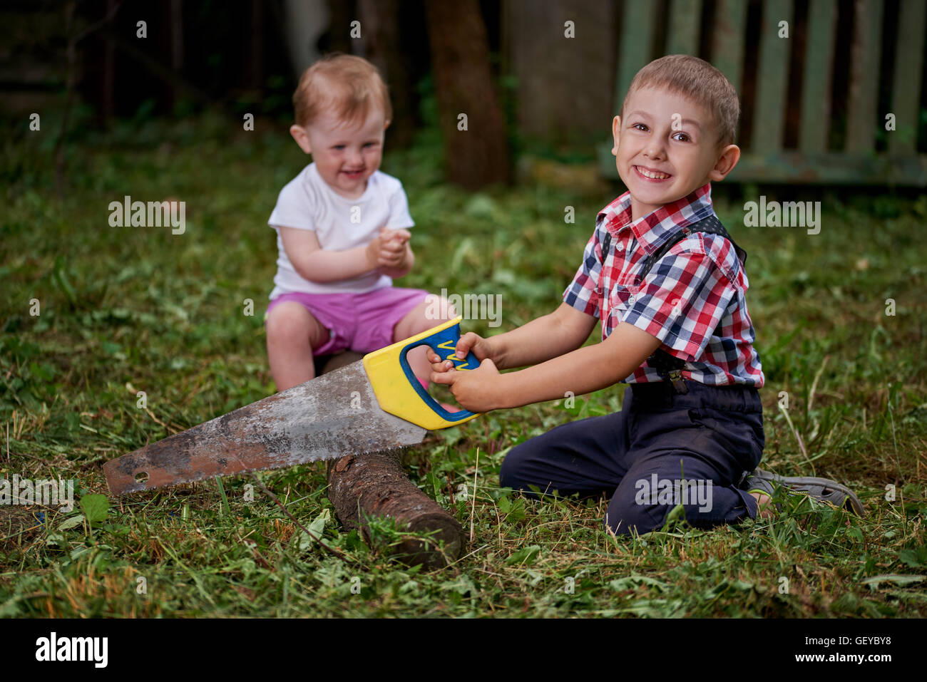 boy sawing fallen tree in garden Stock Photo - Alamy