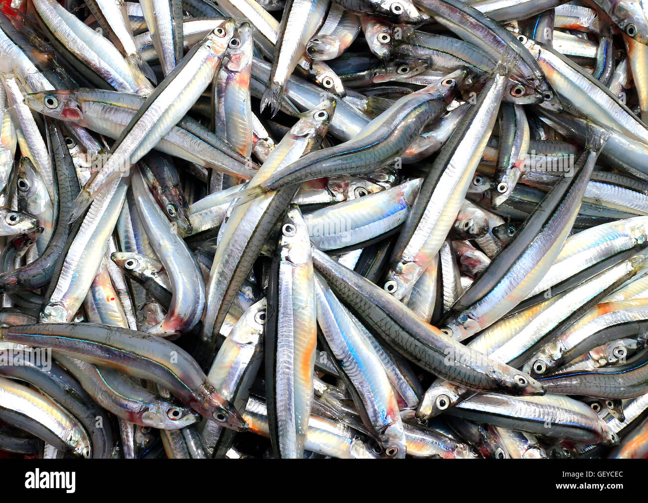 dried fish for cooking at market Stock Photo - Alamy