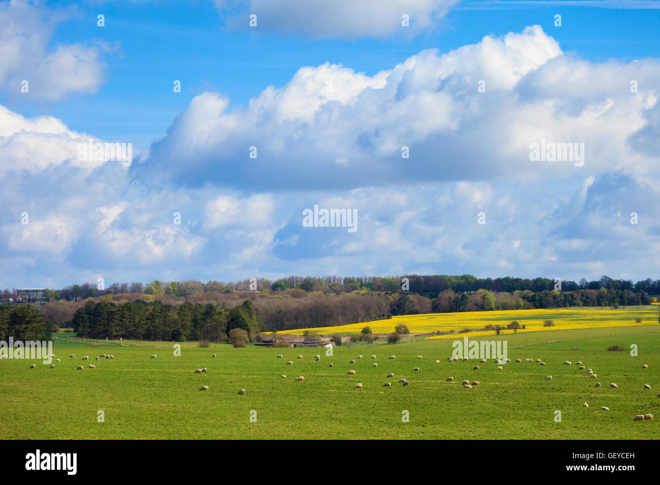 Spring sunny landscape of historic Stonehenge in England. Beautiful ...