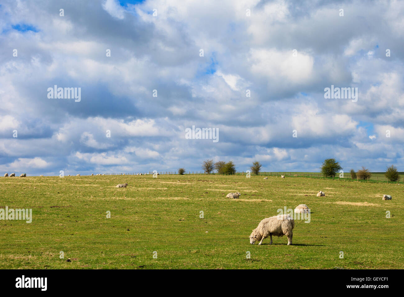 Spring sunny landscape of historic Stonehenge in England. Beautiful ...