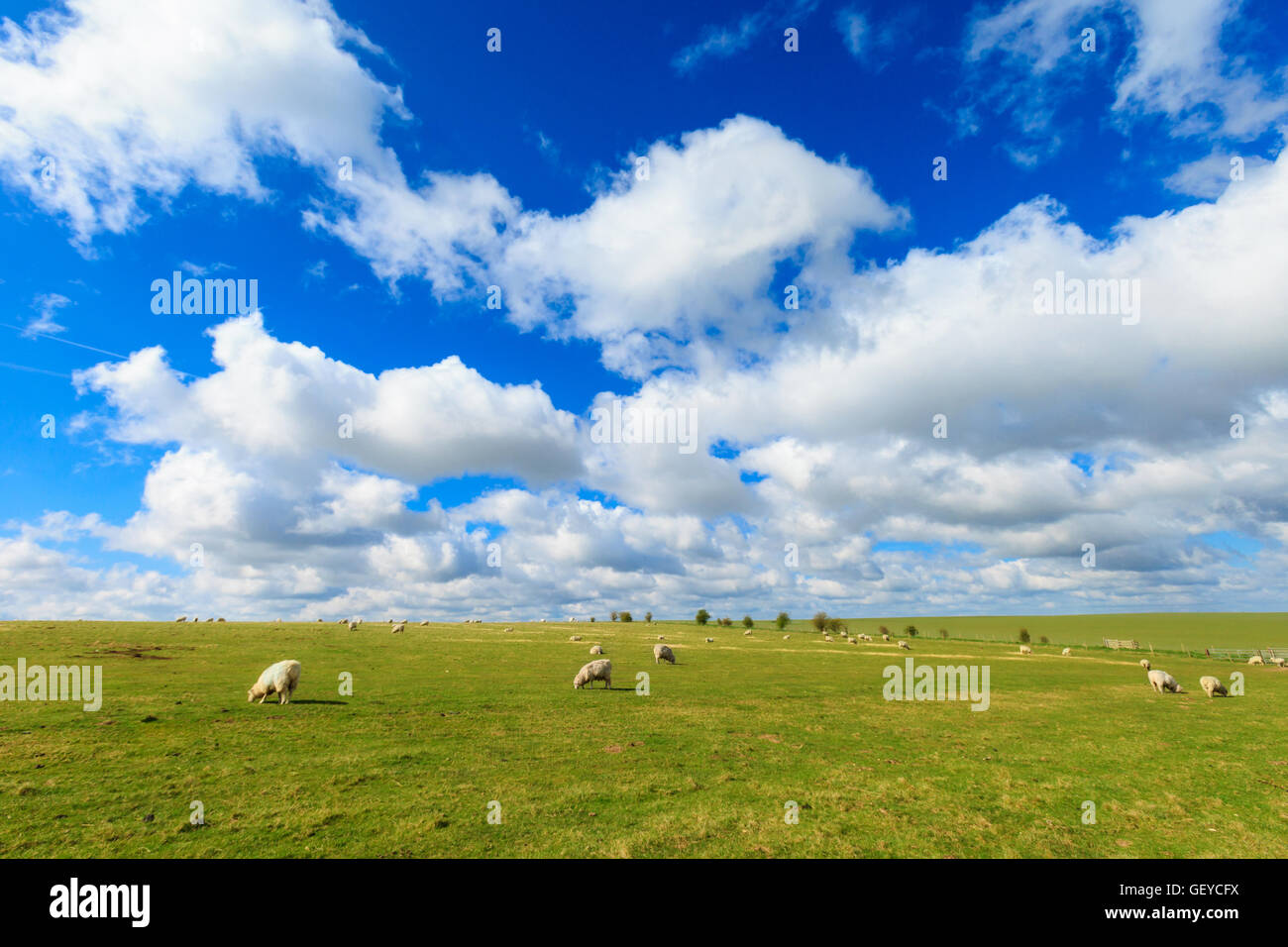 Spring sunny landscape of historic Stonehenge in England. Beautiful ...