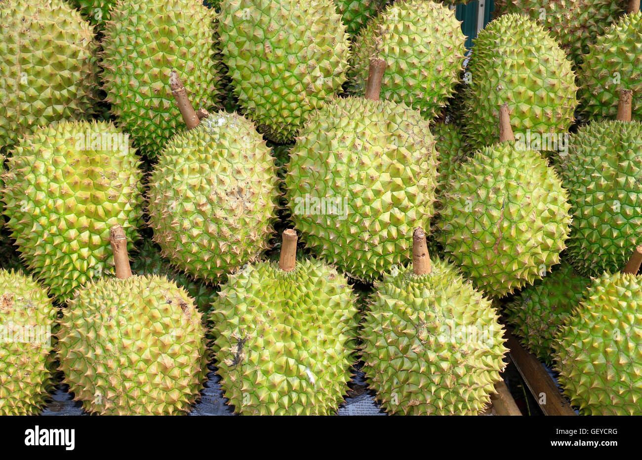 Group of durian in the market Stock Photo - Alamy