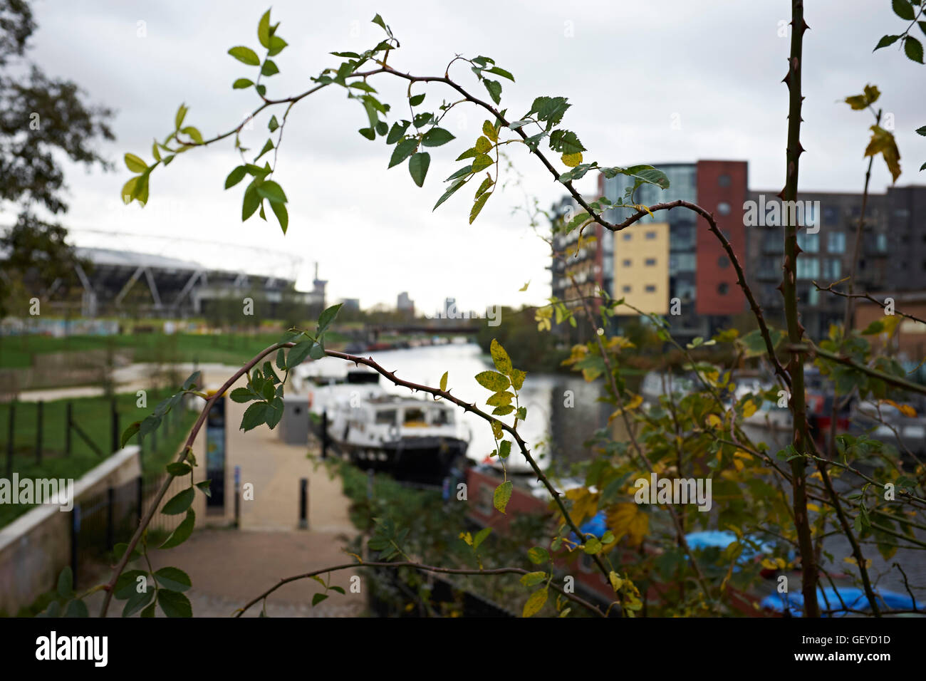 The areas surrounding the Olympic park in the Hackney Wick and ...
