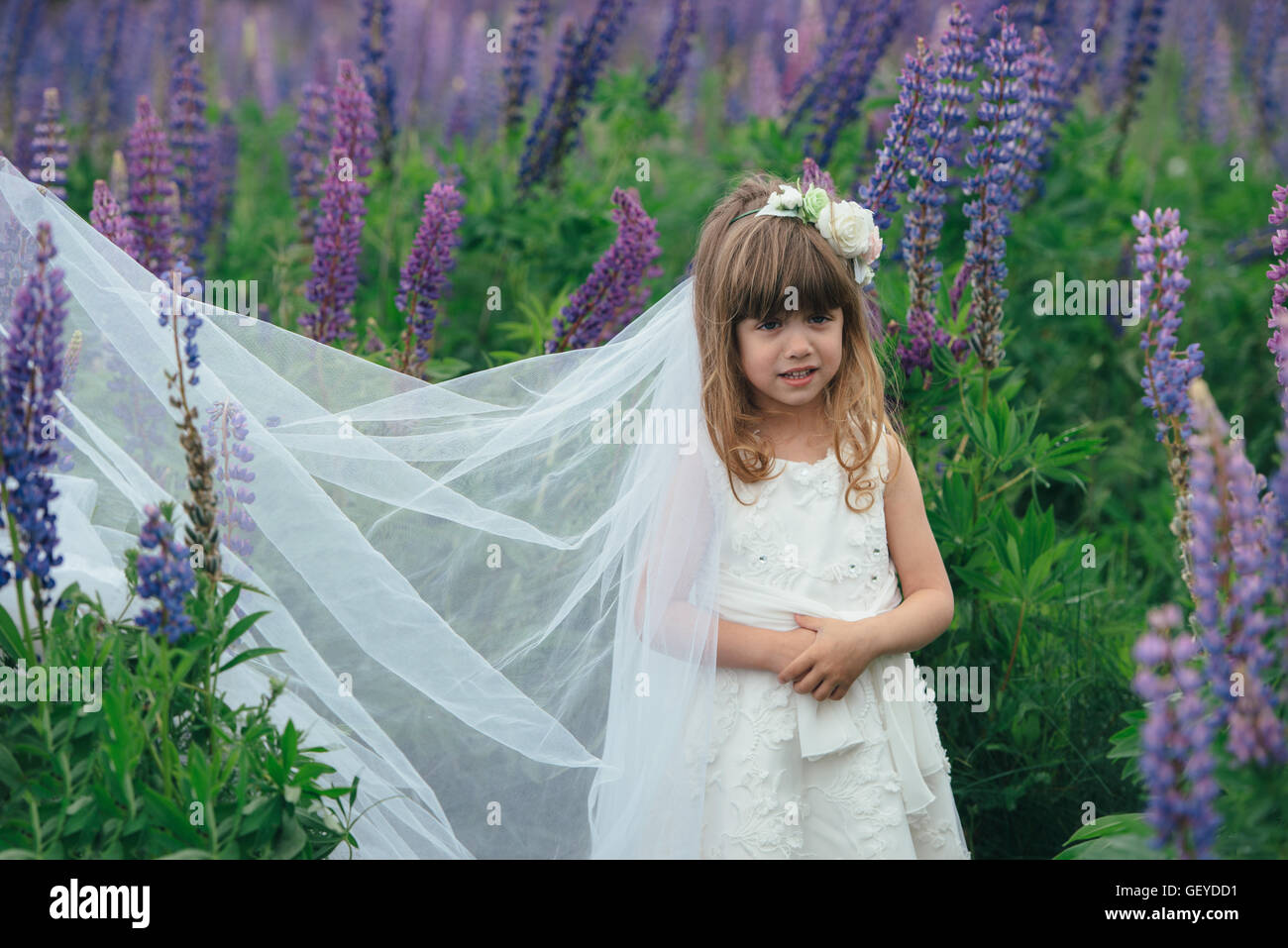 little beautiful girl with bride dress Stock Photo - Alamy
