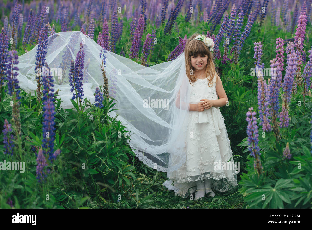 little beautiful girl with bride dress Stock Photo - Alamy