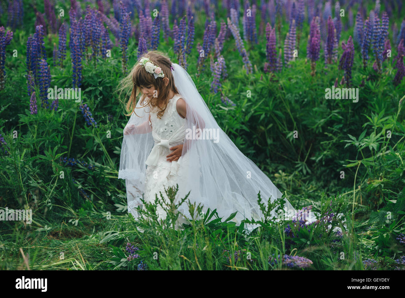little beautiful girl with bride dress Stock Photo - Alamy