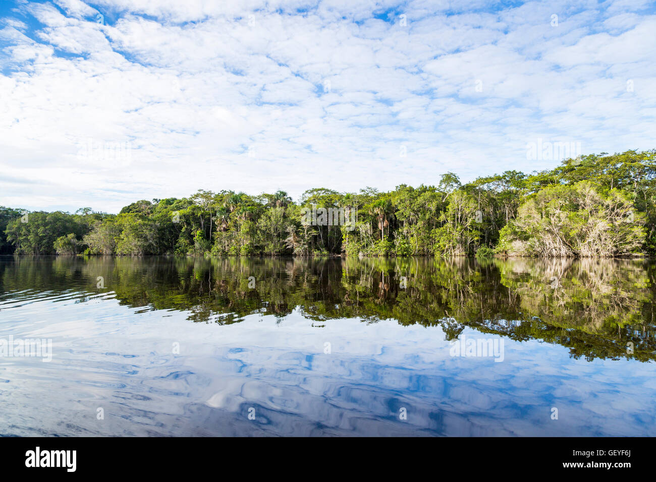 Amazonian tropical rain forest reflected in Garzacocha Logoon at La ...