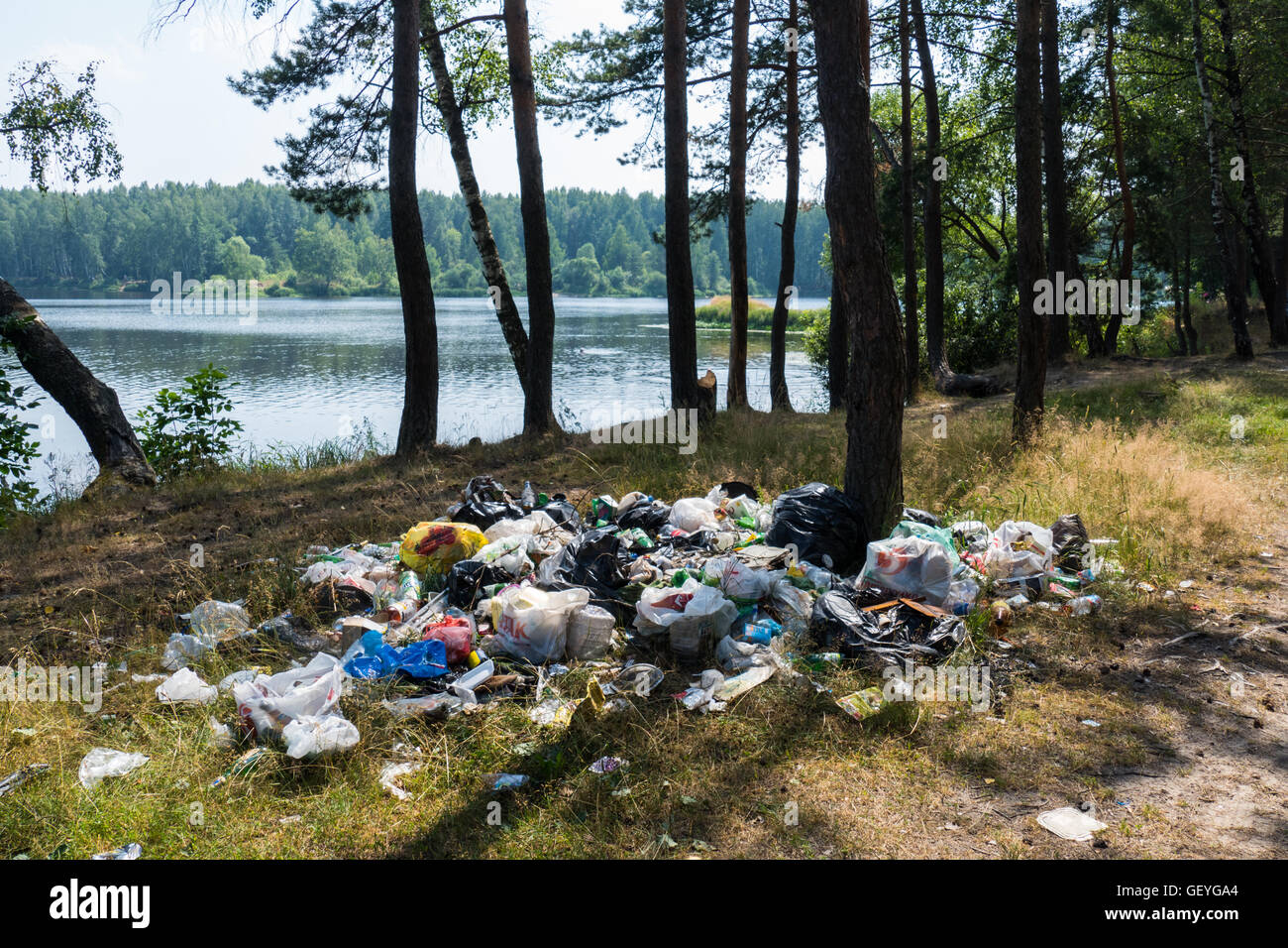 Rubbish in the forest by the lake Stock Photo - Alamy