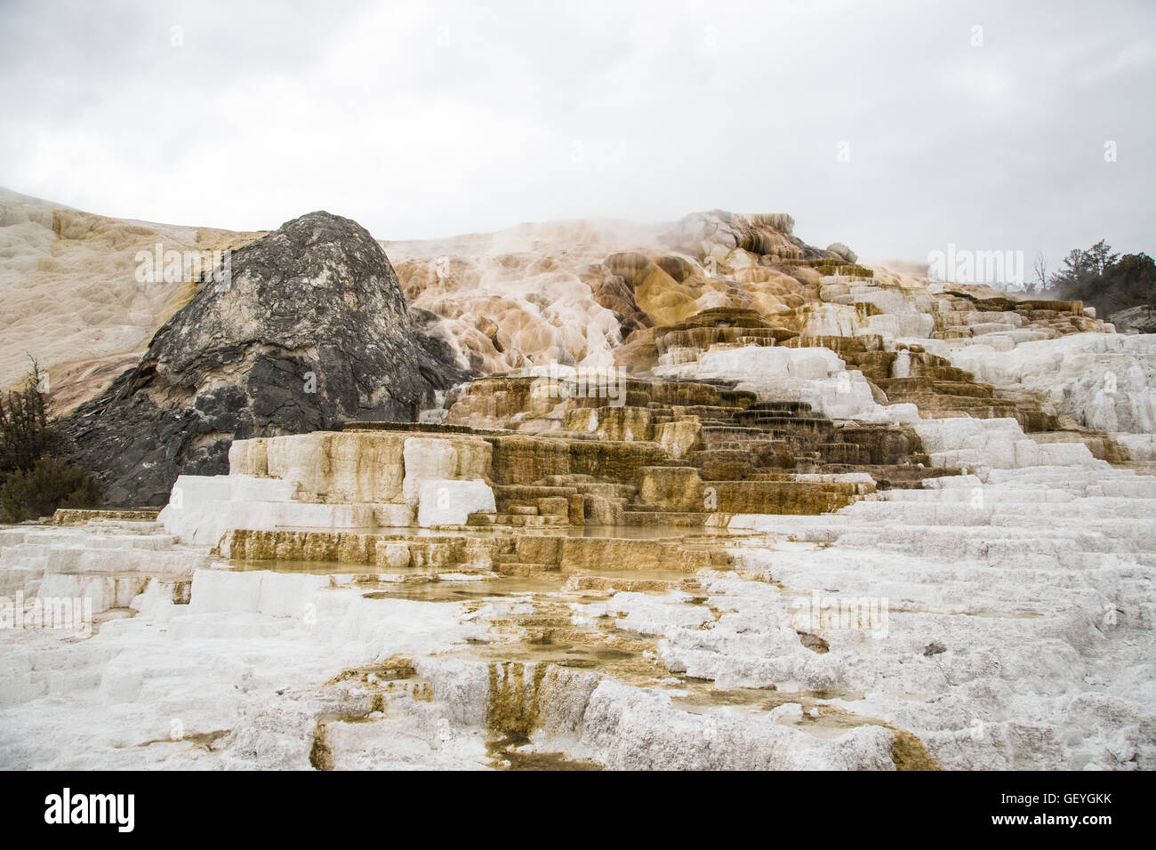 Terraces of rock formation in Yellowstone National Park Montana USA and ...