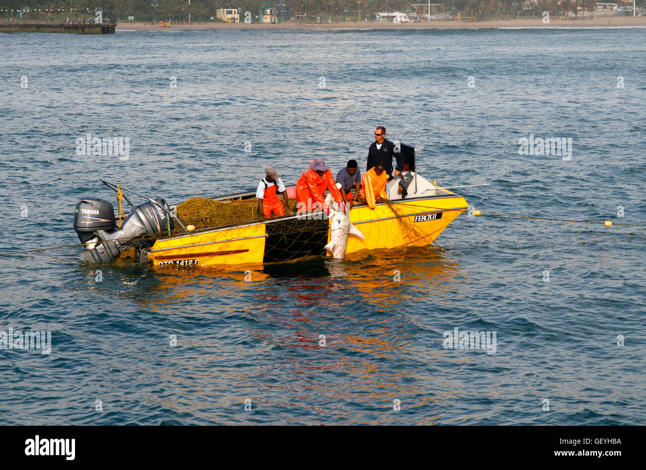 Natal Sharks Board staff attending shark nett, Durban, KwaZulu-Natal ...
