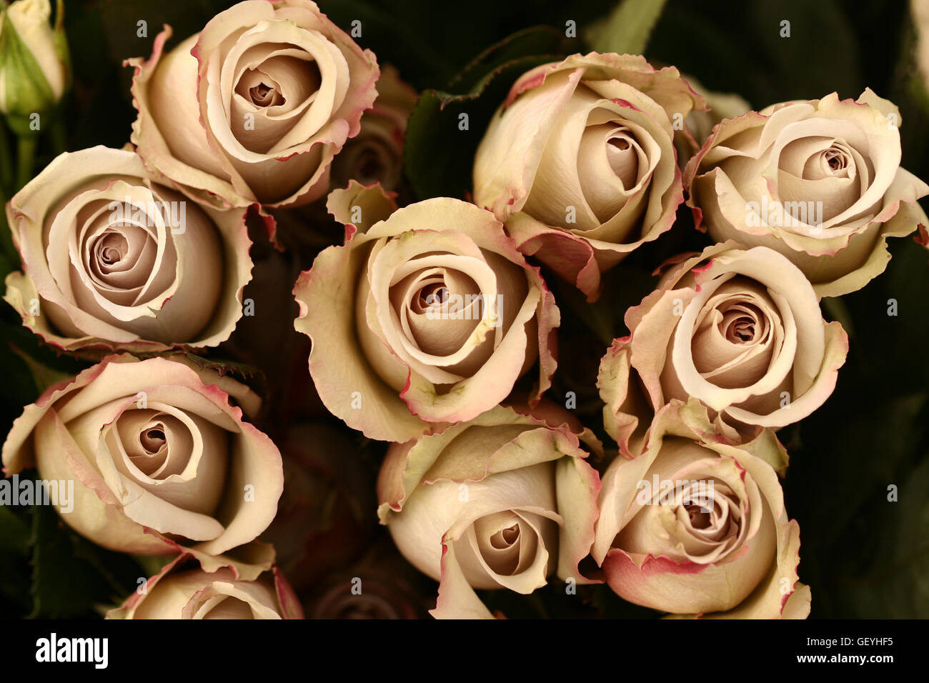 Rose bouquet symphony hi-res stock photography and images - Alamy
