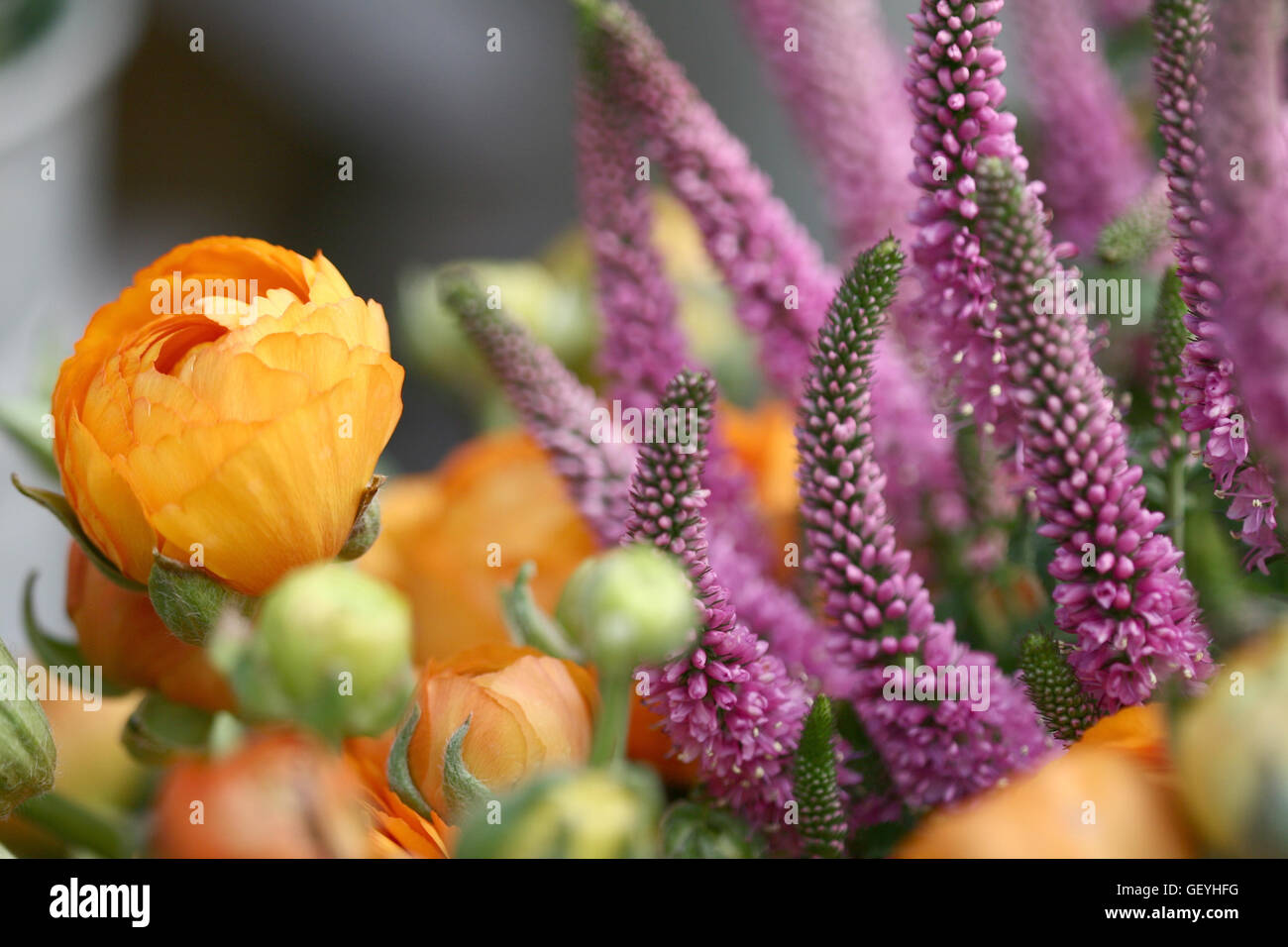 Composition symphony hi-res stock photography and images - Alamy