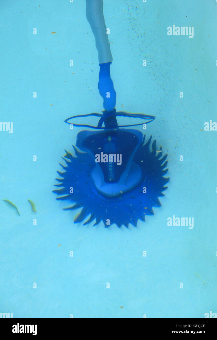 Swimming pool with blue water and a barracuda pool cleaner Stock Photo ...