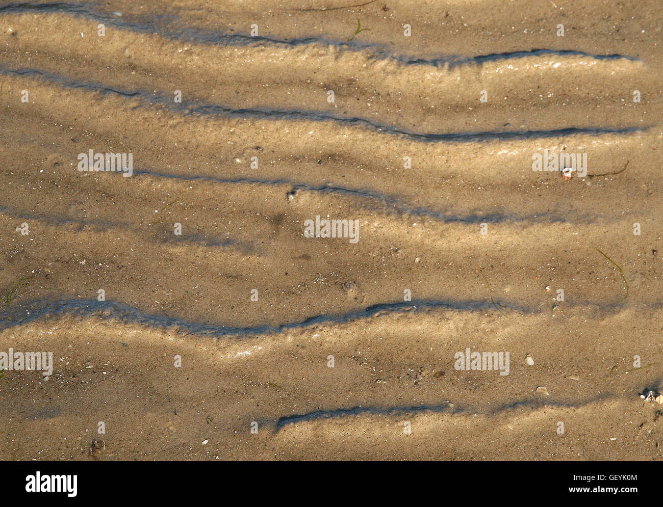 Sand tracks on beach, Maputo, Mozambique Stock Photo - Alamy