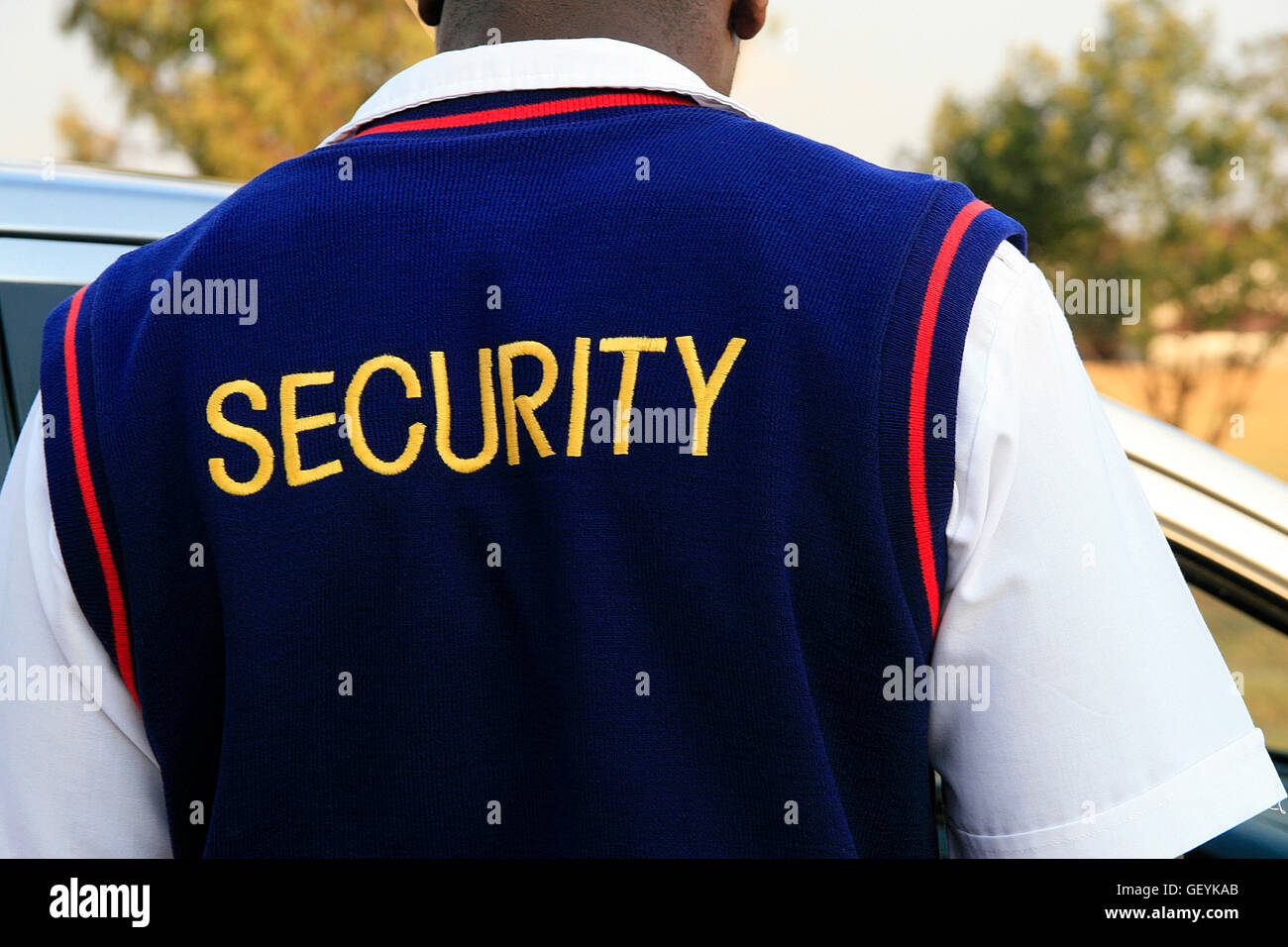 Back of security guard inspecting car hi-res stock photography and ...