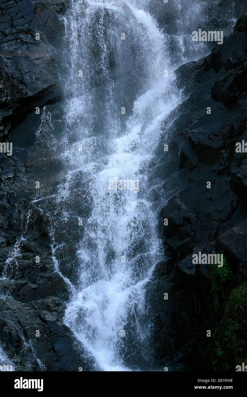 Witpoortjie Waterfall, Walter Sisulu National Botanical Gardens ...