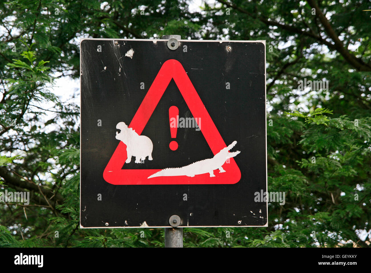 Close-up of crocodiles and hippos safety warning sign at Perna Perna ...