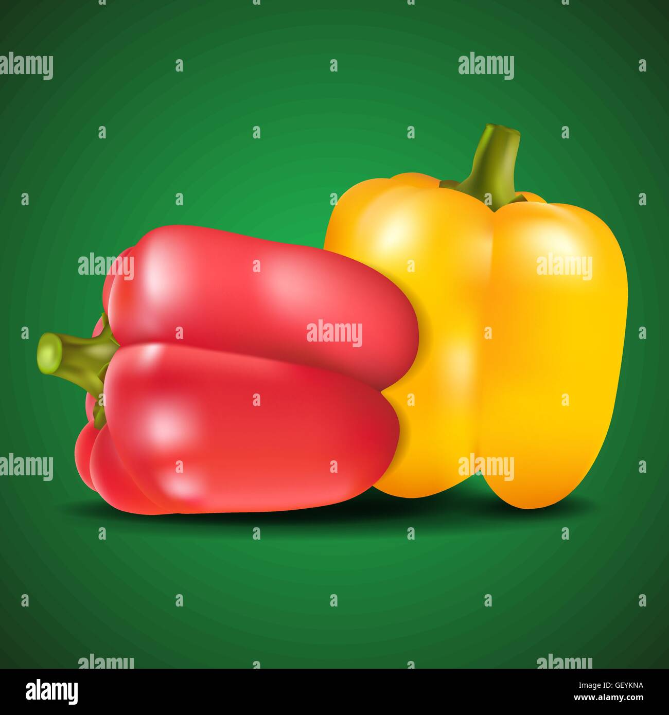 Sweet peppers. Vector illustration Stock Vector Image & Art - Alamy