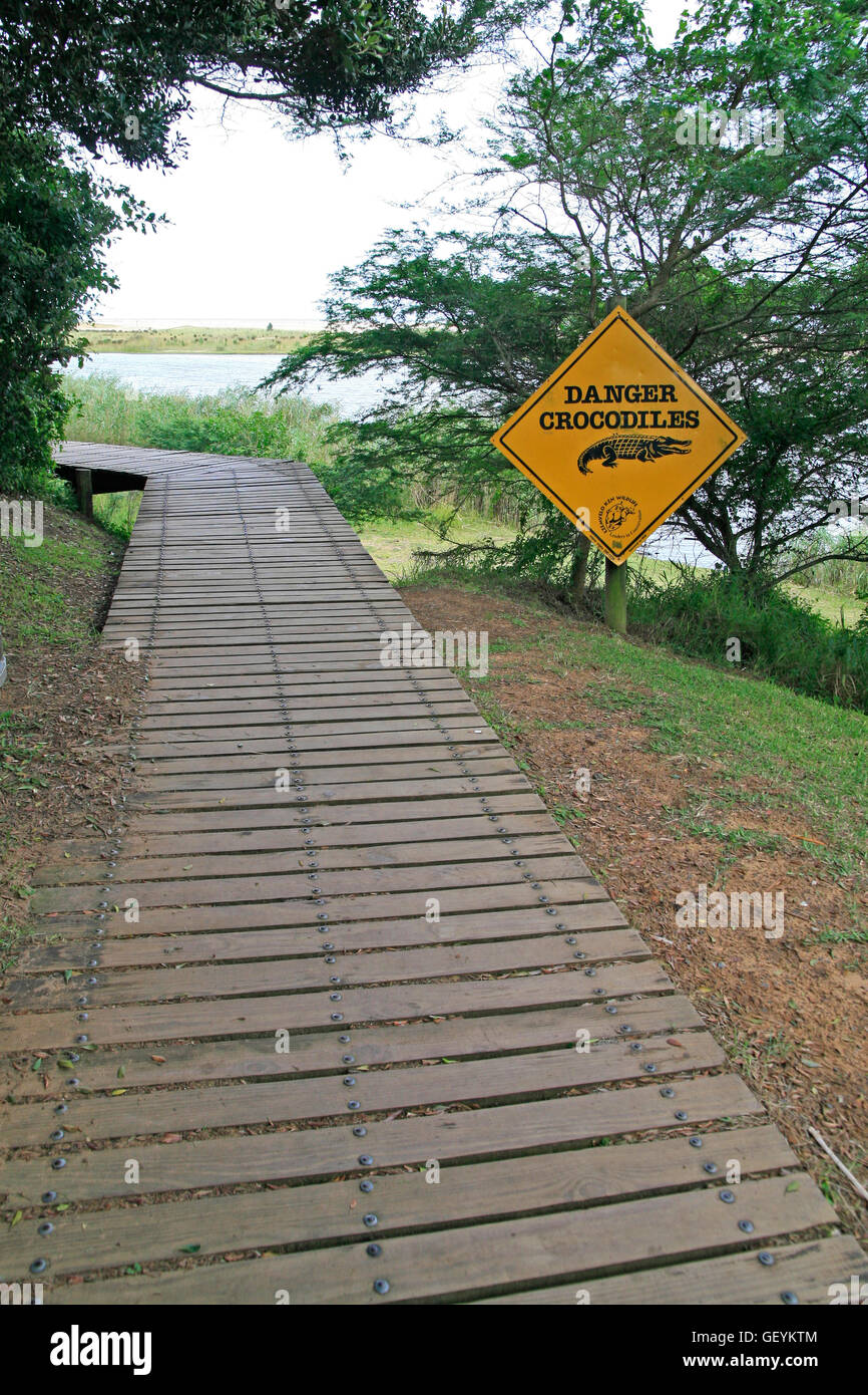 Wooden path going through forest with crocodile warning sign, Board ...