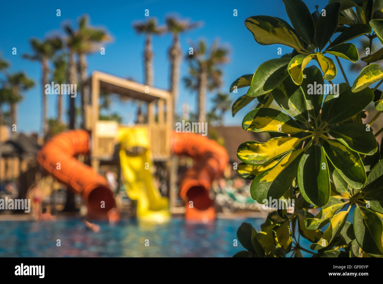 Slippery Slides High Resolution Stock Photography and Images - Alamy