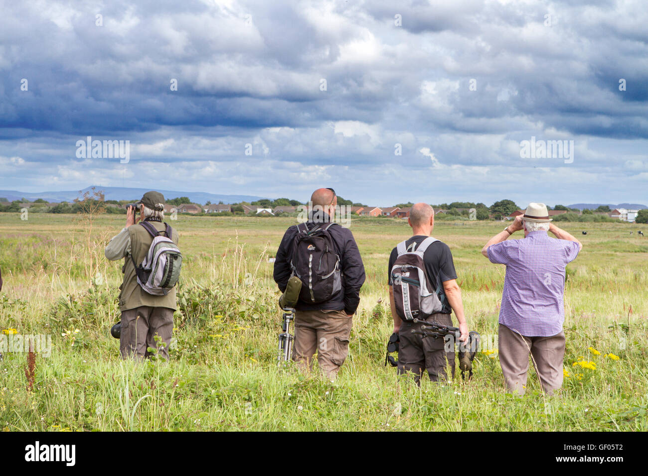 Birdwatching, or birding, birders, wildlife observation binoculars ...