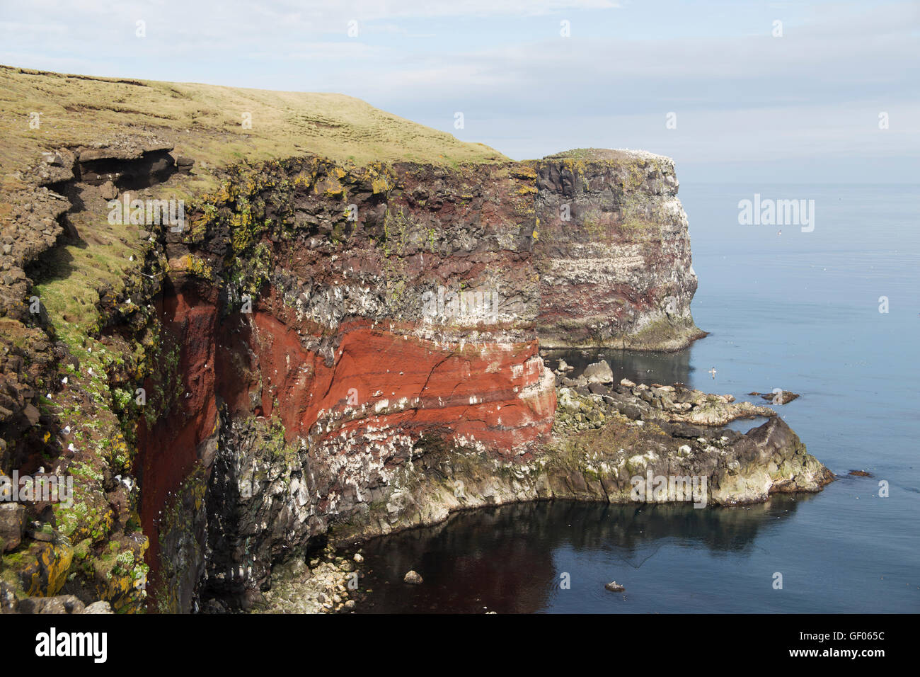 Seabirds landscape hi-res stock photography and images - Alamy