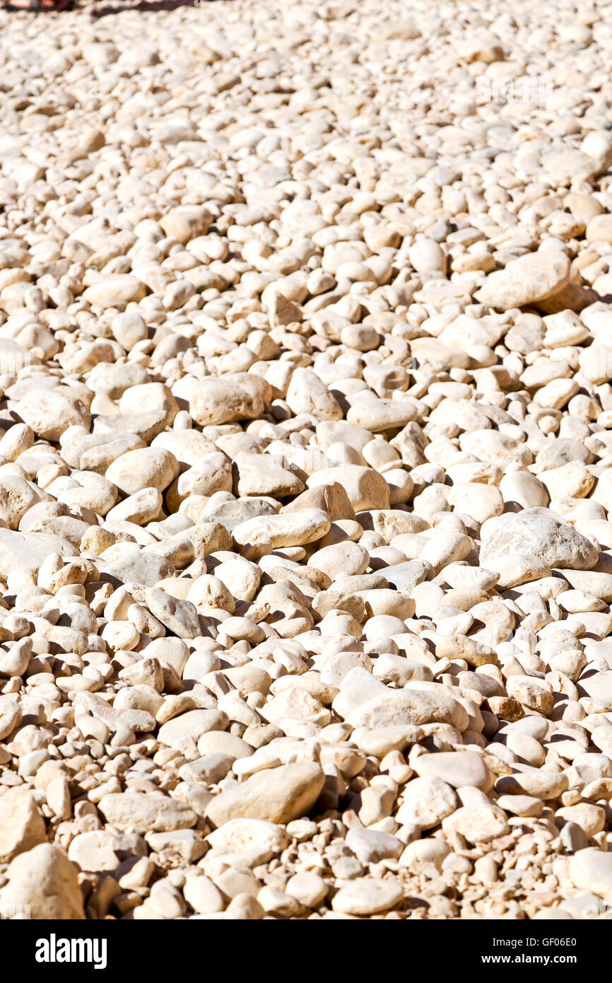 in the white and gray oman dry bush rock alone Stock Photo - Alamy