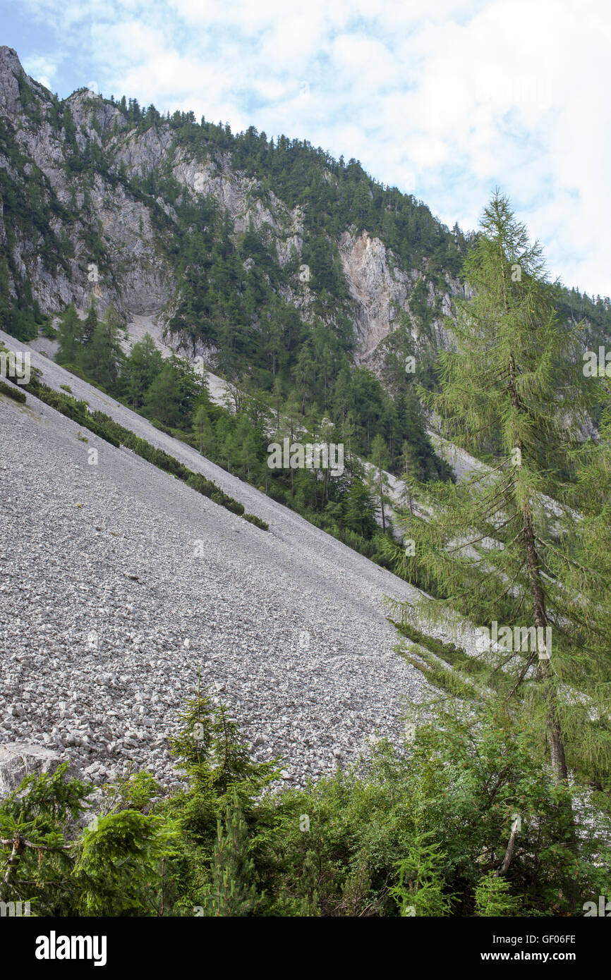 Scree slope hi-res stock photography and images - Alamy