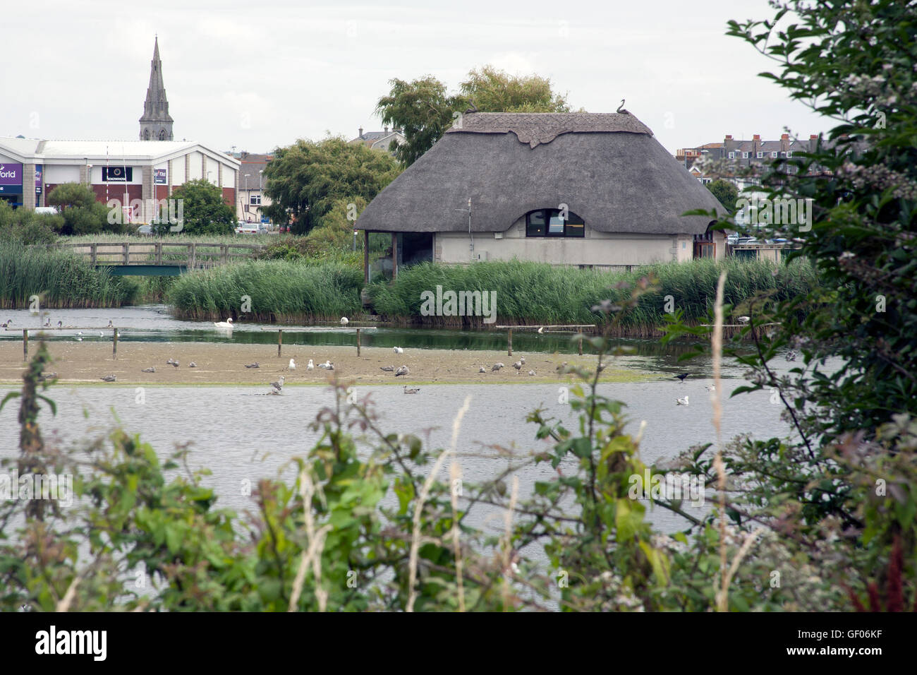 Radipole lake weymouth hi-res stock photography and images - Alamy