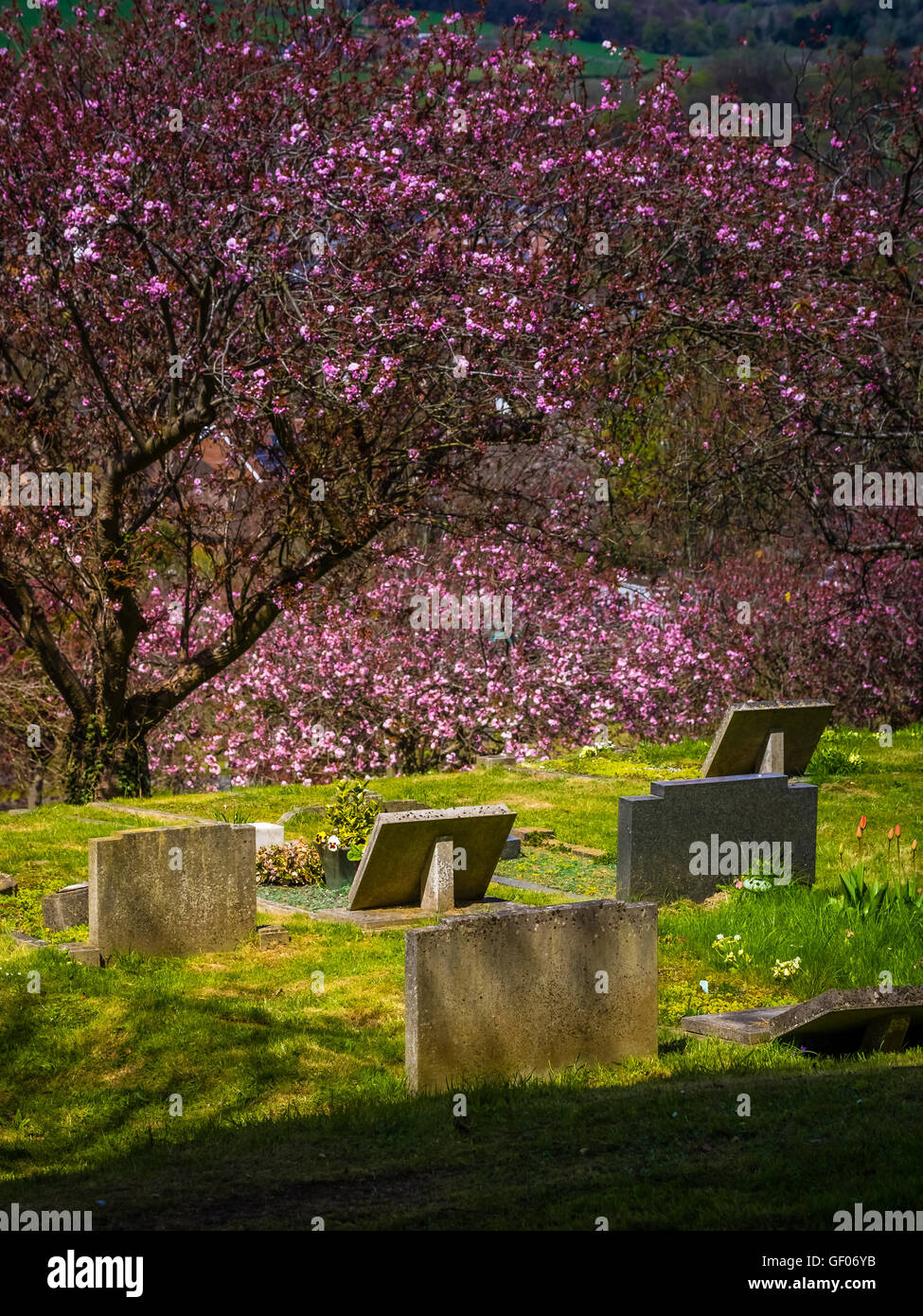Rip in the structure hi-res stock photography and images - Alamy