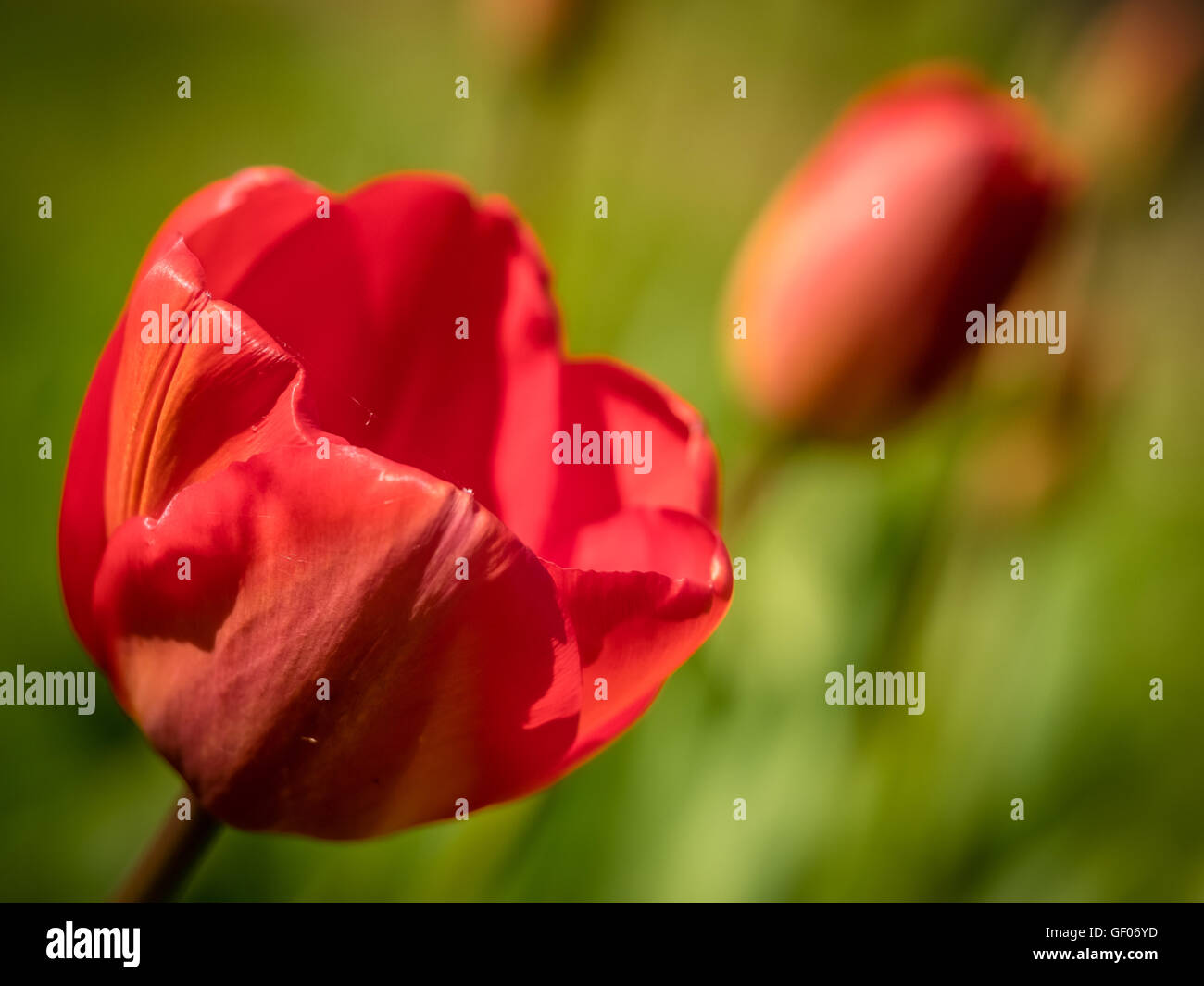 Rip in heaven hi-res stock photography and images - Alamy