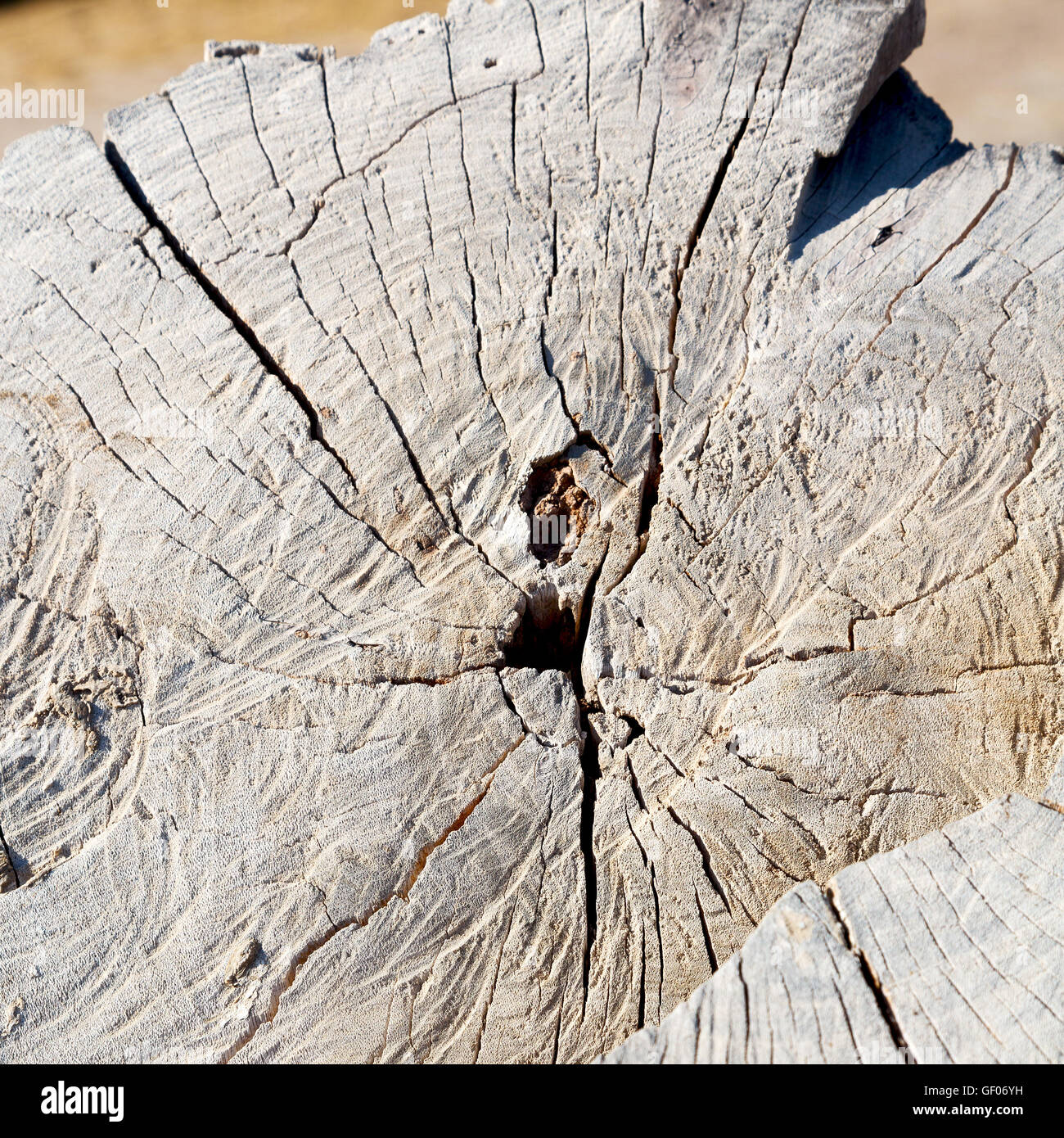 abstract texture of a aged cracked tree trunk and background Stock ...