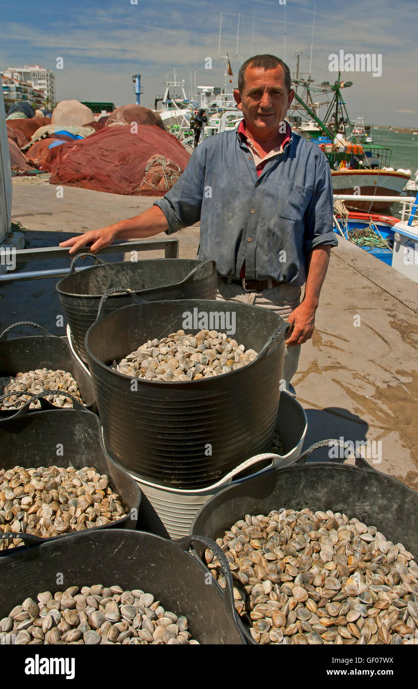 Gallina de la gallina hi-res stock photography and images - Alamy